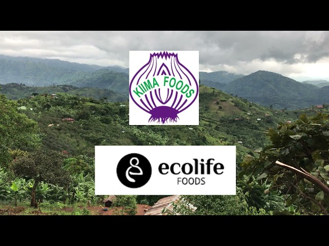 Kiima Foods donates 120 solar panels to residents of Mbata village ...